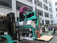 China Wenyao Almond Color Sorter Machine Wheat Color Sorter Nuts Color Sorting Machine for sale