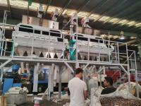 China Wenyao High Technology Multi Function Wheat Buckwheat Barley Color Sorter Colour Sorting Machine for sale