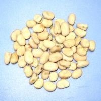 China Wenyao CE Certified High Speed Color Sorter Chinese Manufacturers Optical Sorter Supplier Broad Bean Color Sorter Machine for sale