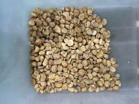 China Dried Chestnut Color Sorter For Nuts Photo Sorter From China for sale