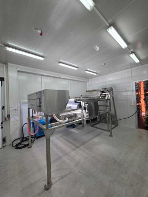 China 1200mm Belt Width High Capacity Juniper Color Sorter with 99.99% Precision for sale