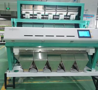 China Top Quality  Peanut Groundnut Walnut Almond  Hazelnut  Pistachio Color Sorter Machine From Wenyao China for sale