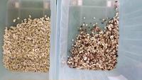 China WENYAO High Precision 2 Channel Nut Color Sorter Remove Moldy Rotten Shell Impurity for All Kinds Nuts Processing for sale