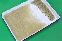 China WENYAO High Quality High Capacity Agriculture Use Combine Rice Processing Machine Japan for CCD Sensor 0.999 Accuracy Color for sale