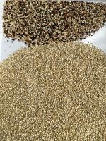 China Wenyao Newest AI Learning Agricultural Color Separator Quinoa Color Sorter Equipment for Rice Grains Cleaning Automatic Optical Sorter for sale