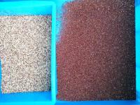 China Wenyao Newest AI Learning Agricultural Color Separator Quinoa Color Sorter Equipment for Rice Grains Cleaning Automatic Optical Sorter for sale