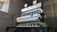 China 8 Chute Peanuts Color Sorter Machine 512 Channels Nuts Color Sorter CCD Color sorter for grain for sale