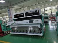China 8 Chute Peanuts Color Sorter Machine 512 Channels Nuts Color Sorter CCD Color sorter for grain for sale