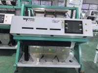 China Wenyao High Quality Small Color Sorter Walnut Color Sorting Machine Almond Hazelnuts Color Sorter for sale