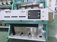 China Wenyao High Quality Small Color Sorter Walnut Color Sorting Machine Almond Hazelnuts Color Sorter for sale