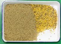 China 99.99% High Precision CCD Grain Optical Color Sorter Rice Beans Color Separator with 5 Channels for sale
