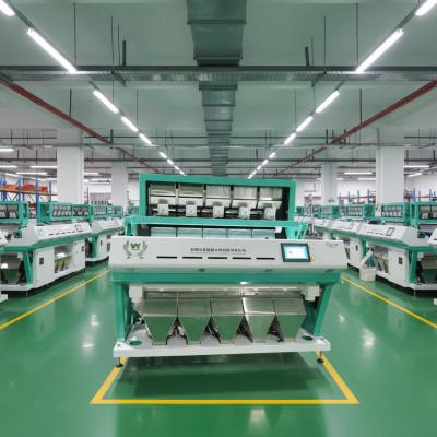 China Wenyao High Sorting Accuracy Peanut Beans Grains Multi Function Color Sorter Machine for sale