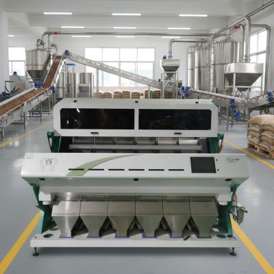 China Wenyao Color Sorter Machine with ≥99.99% Sorting Accuracy LED Light Source and Metal Ejector for Grain and Juniper Berries for sale