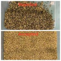 China Bestselling Nuts Color Sorter Pistachios Cashew Nuts Peanuts Hazelnut Walnut Optical Separating Machine for sale