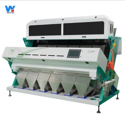 China Multi-Function Coffee Bean Color Sorter High-Efficiency Optical Sorter for Nuts, Beans and Dehydrated Veggies for sale