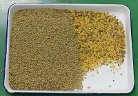 China Wenyao 10 Chute 640 Channels Large Capacity Lentils Mung Bean Color Sorter Machine Optical Sorter for Nut Peanut Sorting for sale