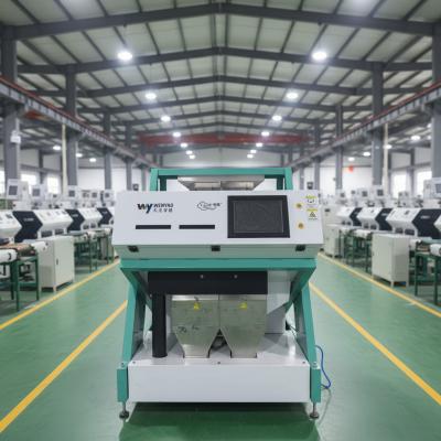 China Wenyao 2026 Latest  Macadamia Nut Colour Sorting Machine Cashew Nuts Colour Sorting Machine Color Sorter for sale