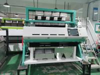 China Wenyao Pistachio Nut Colour Sorting Machine  Peanut Groundnut Optical Color Sorter for sale