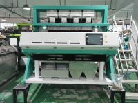 China Wenyao Pistachio Nut Colour Sorting Machine  Peanut Groundnut Optical Color Sorter for sale