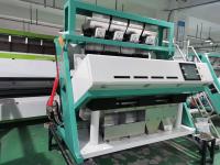 China Wenyao Pistachio Nut Colour Sorting Machine  Peanut Groundnut Optical Color Sorter for sale