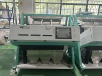 China Agricultural Color Sorter Machine for Sunflower Seed Cotton Seed Rapeseed Oil Seeds Processing for sale