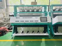 China 99.99% High Precision CCD Grain Optical Color Sorter Rice Beans Color Separator with 5 Channels for sale