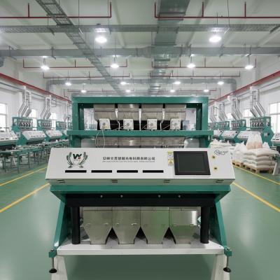China Wenyao Advanced Technology AI Cashew Nut Optical  Color Sorting Machine Multi Camera Color Sorter Machine for sale