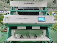 China Wenyao Advanced Technology AI Cashew Nut Optical  Color Sorting Machine Multi Camera Color Sorter Machine for sale