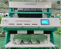China Wenyao Advanced Technology AI Cashew Nut Optical  Color Sorting Machine Multi Camera Color Sorter Machine for sale