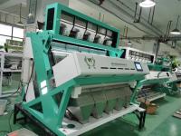 China Wenyao AI  Optical Sorter Machine Color Sorter for Caturra Coffee Beans Green Coffee Cherries Shape Sorter Machine for sale