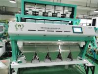 China Wenyao AI  Optical Sorter Machine Color Sorter for Caturra Coffee Beans Green Coffee Cherries Shape Sorter Machine for sale