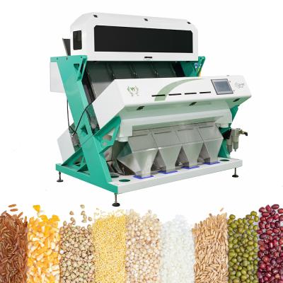 China Intelligent Buckwheat Color Sorter Wheat Oats Quinoa Separating Machine 3 Chutes 6 Cameras for sale