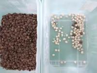 China High Efficiency Nuts Color Sorter Pistachios Hazelnuts Pine Nuts Walnuts Almonds Peanuts Separating Machine for sale