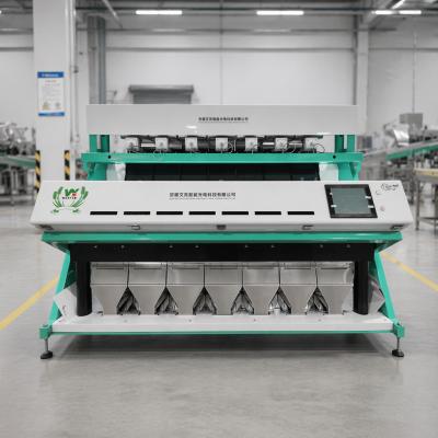 China Wenyao AI  Advanced Technology Areaca Nut  Peeled Garlic Sorting Machine Optical Bean Rice Pumpkin Seed Color Sorter Machine for sale