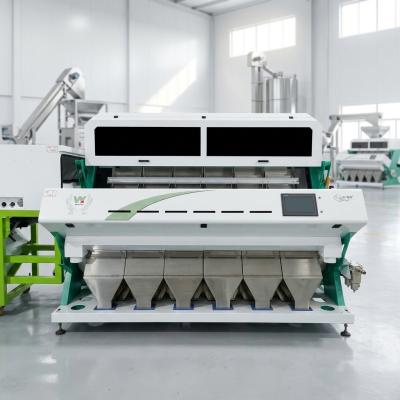 China Wenyao AI  Optical Sorting Machine for Nuts Seeds Pumpkin Cashew Almond Peanut Shape Sorter Color Sorter for sale