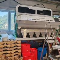 China Wenyao AI  Optical Sorting Machine for Nuts Seeds Pumpkin Cashew Almond Peanut Shape Sorter Color Sorter for sale