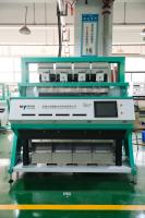 China Wenyao Competitive Price  4 Chute AI  Rice Color Sorter Machine Colour Sorter Machine Color Sorter Sensor Rice Sorting Machine for sale