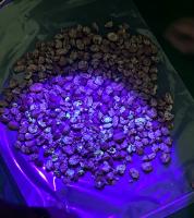 China Nutmeg Peanut Sorting Machine for Removing Aflatoxin Particles with UV Light Technology for sale