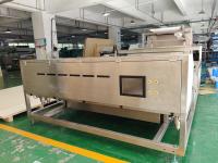 China Potato Chip Color Sorter CCD Seaweed Color Sorting Machine Mango  Color Separating Machine for sale