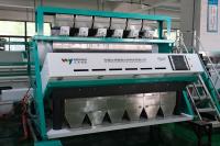 China Wenyao Cost Effective Kidney Bean Color Sorter with Remote Control and ≥99.99% Sorting Accuracy for sale