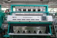 China Wenyao Cost Effective Kidney Bean Color Sorter with Remote Control and ≥99.99% Sorting Accuracy for sale