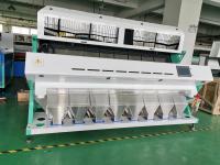 China High Precision Grain Color Sorter with 99.99% Sorting Accuracy and 5000 KG/H Capacity for Rice Processing for sale