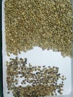 China 4 Chutes 256 Channels Coffee Color Sorter Machine for sale
