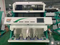 China Colored Toshiba Camera CCD Cocoa Beans Sorting Machine 2.4M3/Min for sale