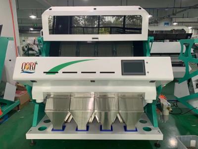 China Colored Toshiba Camera CCD Cocoa Beans Sorting Machine 2.4M3/Min for sale