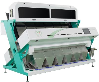China Automatic Macadamia Nut Mini Color Sorter Nuts Color Sorter Machine Color Sorting Machine for sale