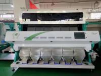 China Agricultural Chili Seed Color Sorter 6 Chutes 384 Channels for sale