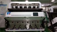 China 6 Chutes Pumpkin Color Sorting Machines High frequency Solenoid Valve for sale
