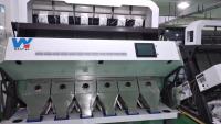 China China Intelligent Almond Apricot Color Sorter  Nuts Color Sorting Machine for sale