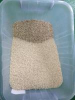 China Multifunction Color Sorter Machine 256 Channels For Rice Sorting for sale